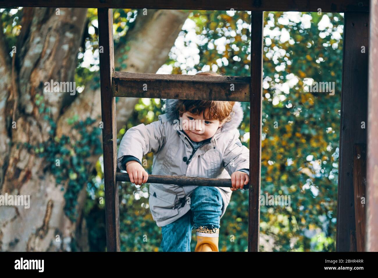 A child climbing a ladder with trees in the background Stock Photo - Alamy