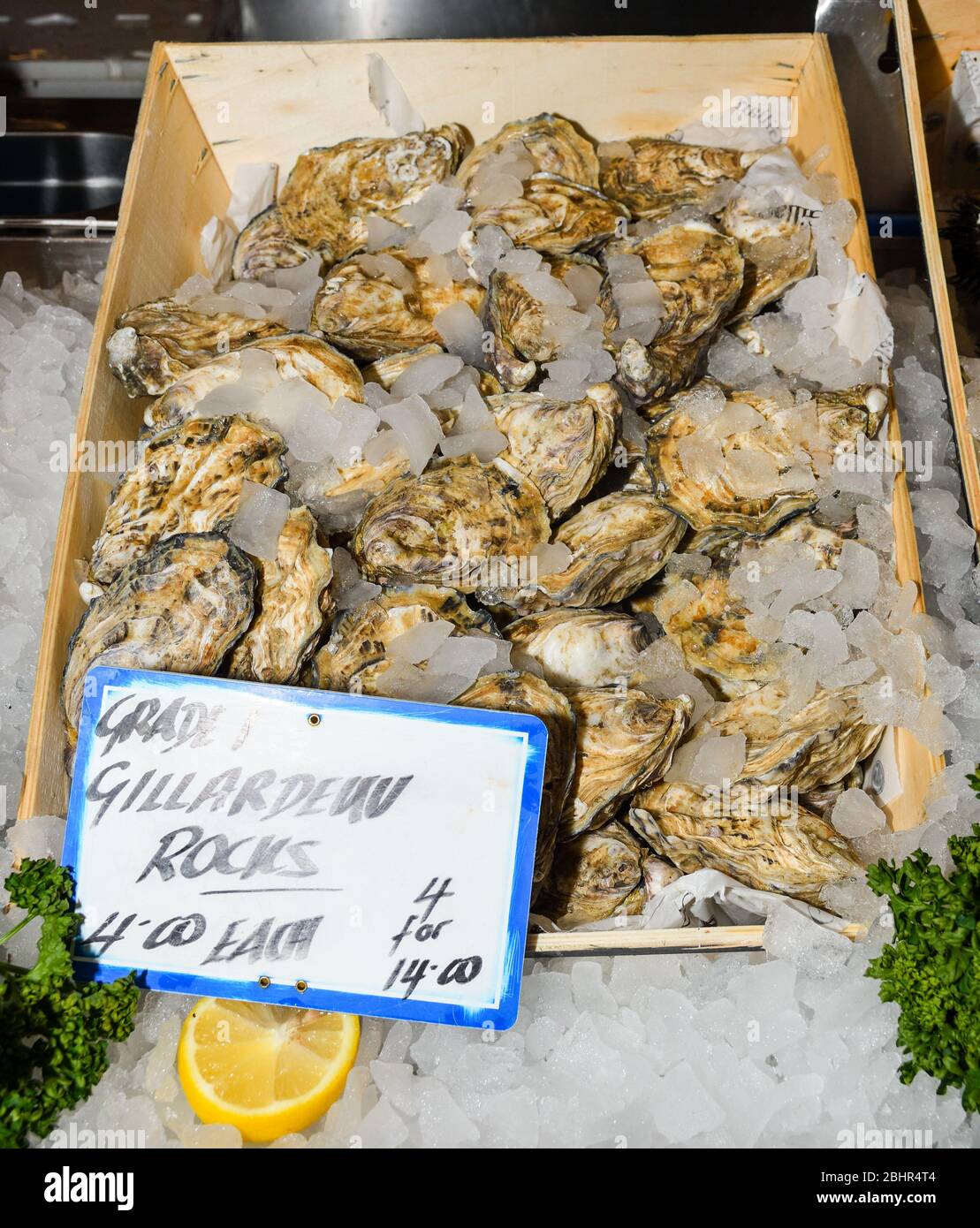 Oyster is the common name for a number of different families of salt ...