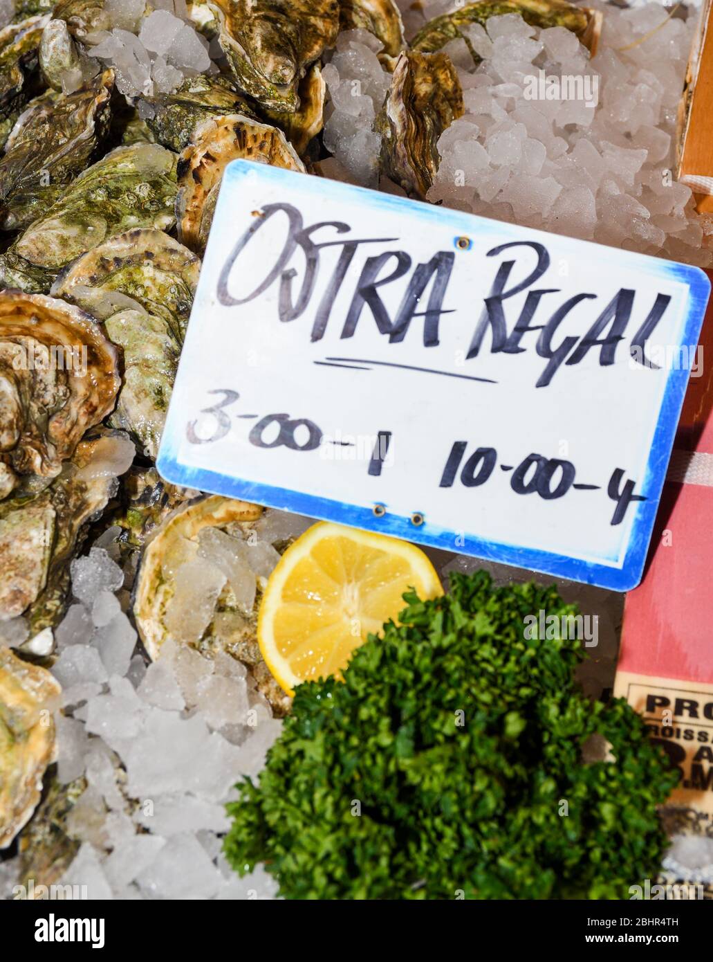 Oyster is the common name for a number of different families of salt ...