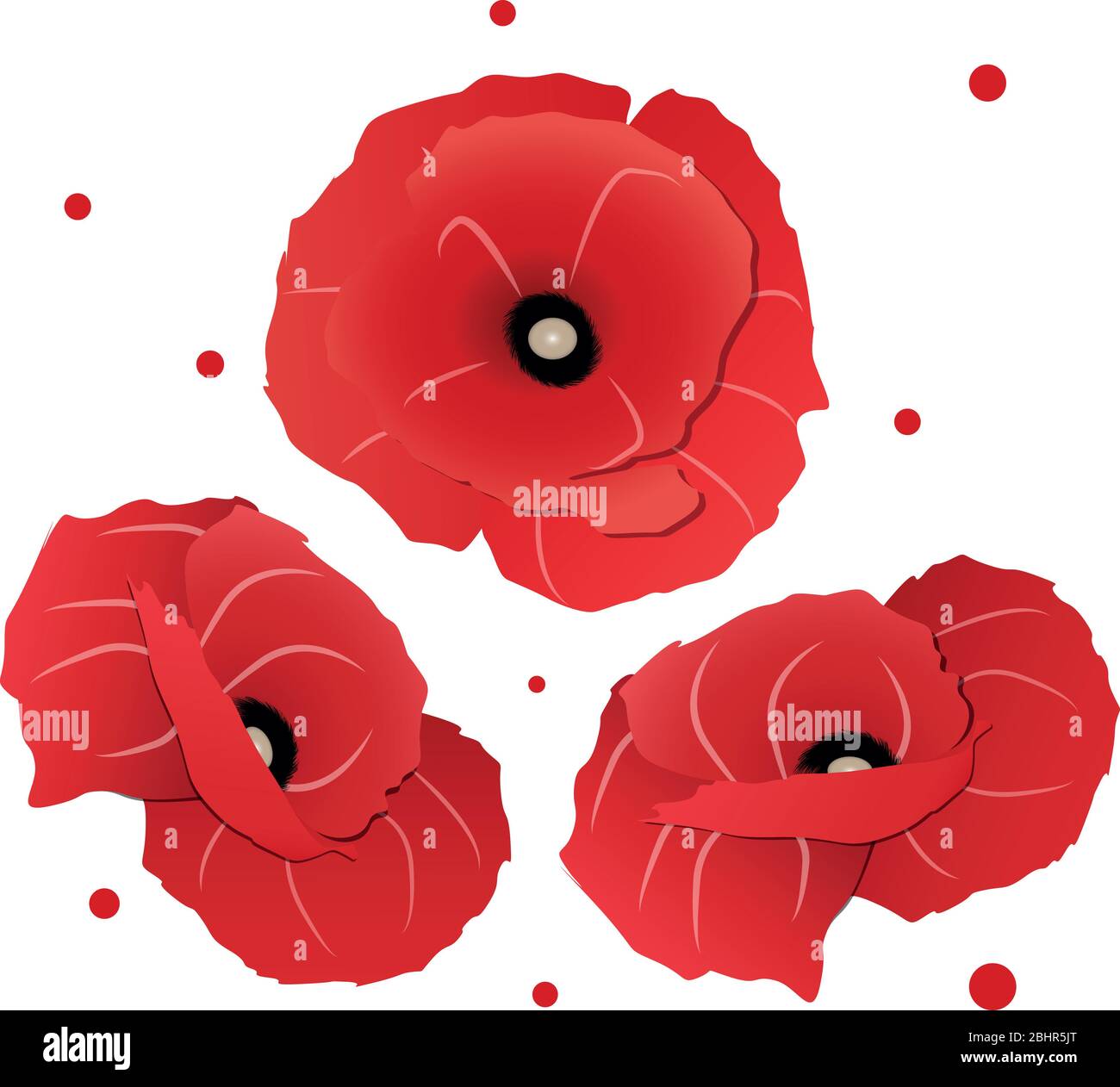 Three red poppies at different angles with red polka dots around them ...