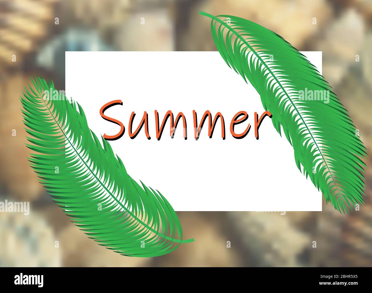 White rectangle with inscription: summer framed by palm leaves on ...