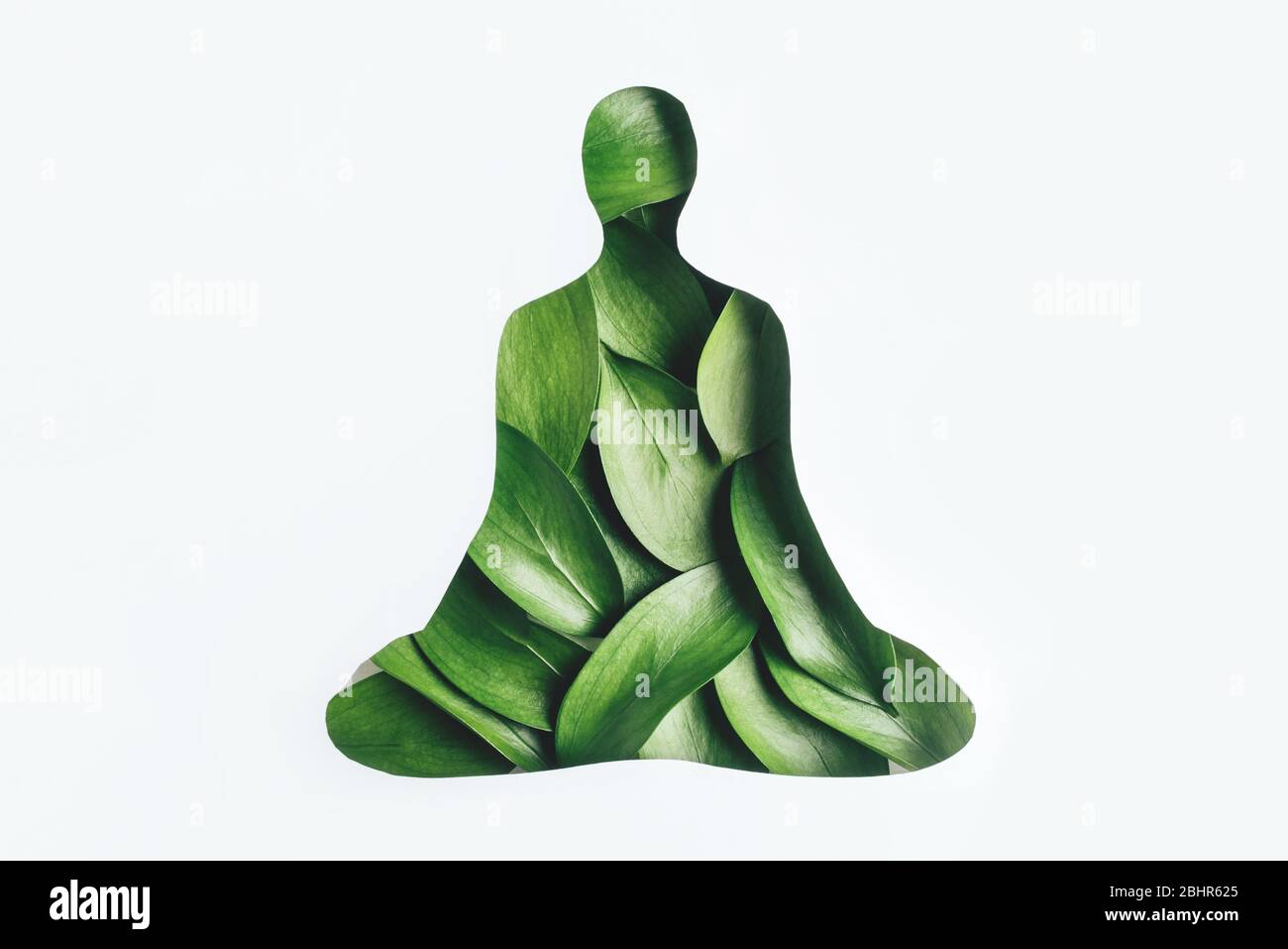 Fresh green leaves shaped in human body isolated on white background ...