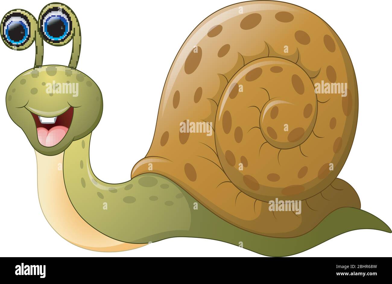 vector illustration of Cute snail cartoon Stock Vector Image & Art - Alamy