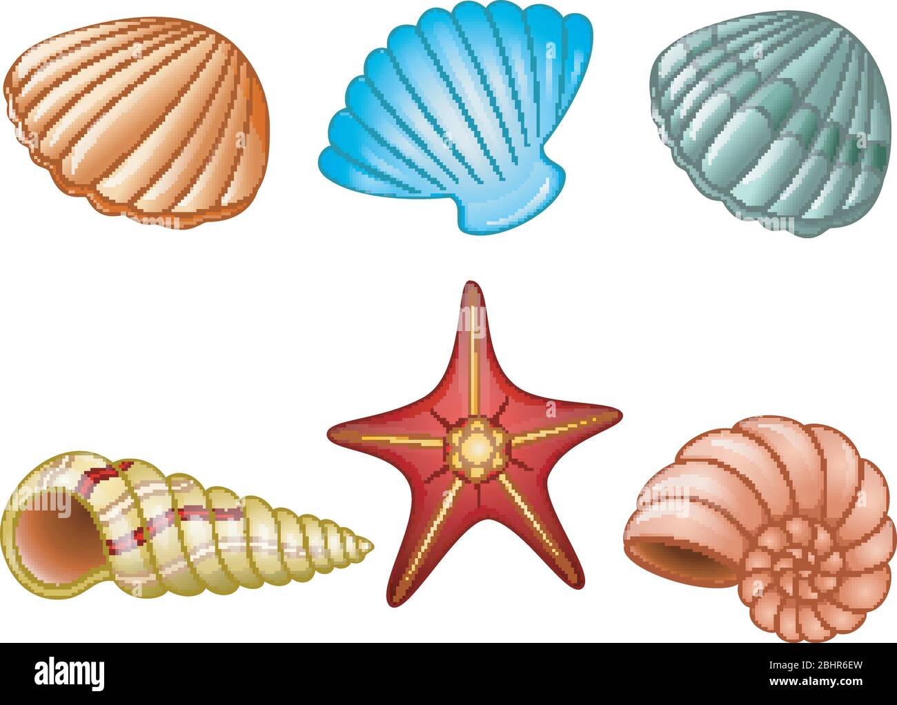 Background scallop shells Stock Vector Images - Alamy