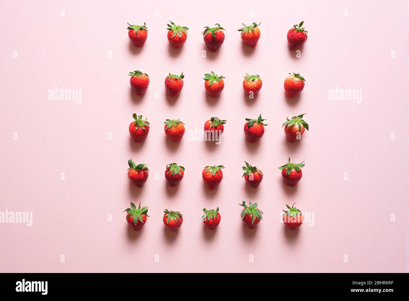Organic strawberry fruits arranged in rows with equal distance between ...