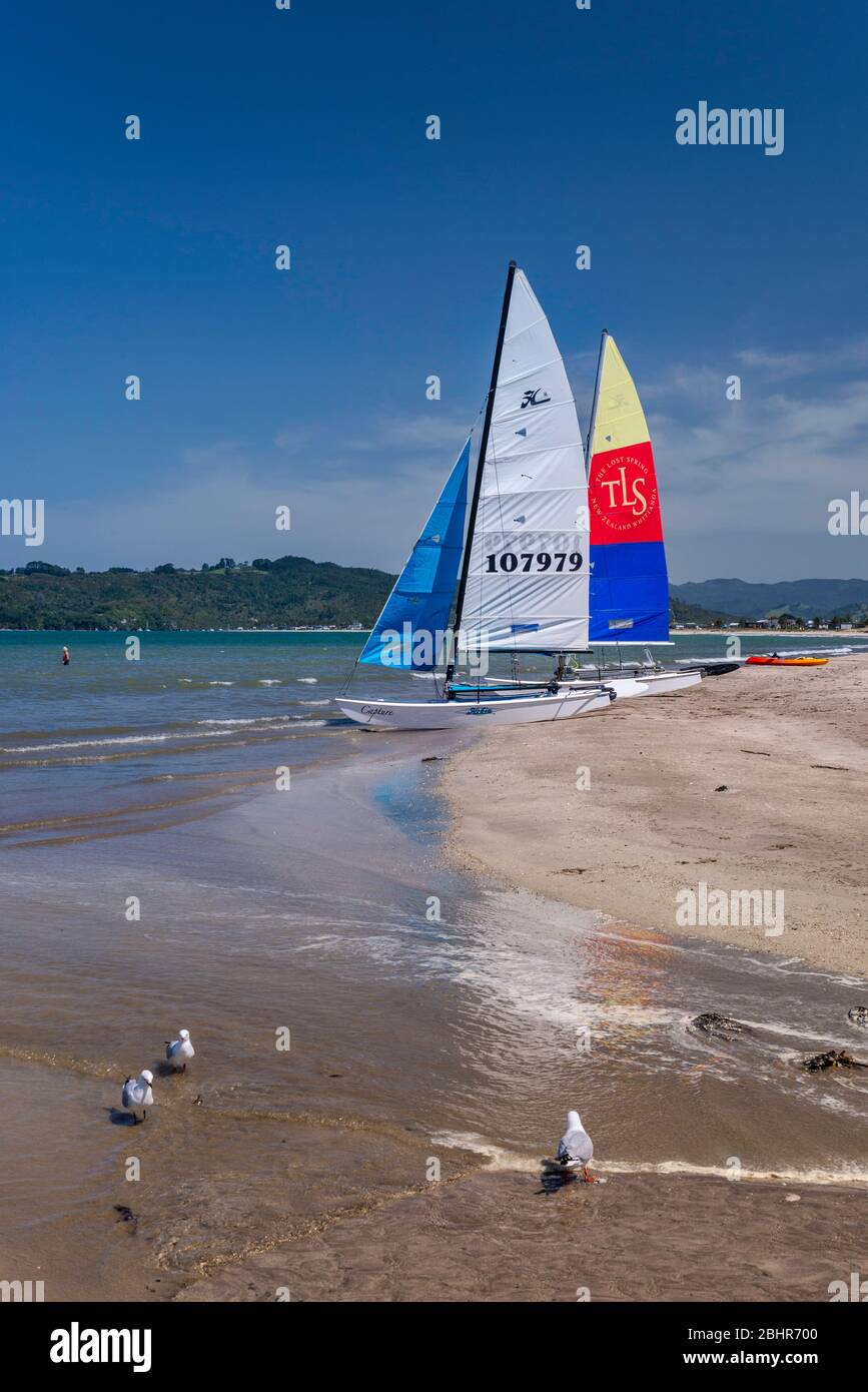 Mercury bay new zealand hi-res stock photography and images - Alamy