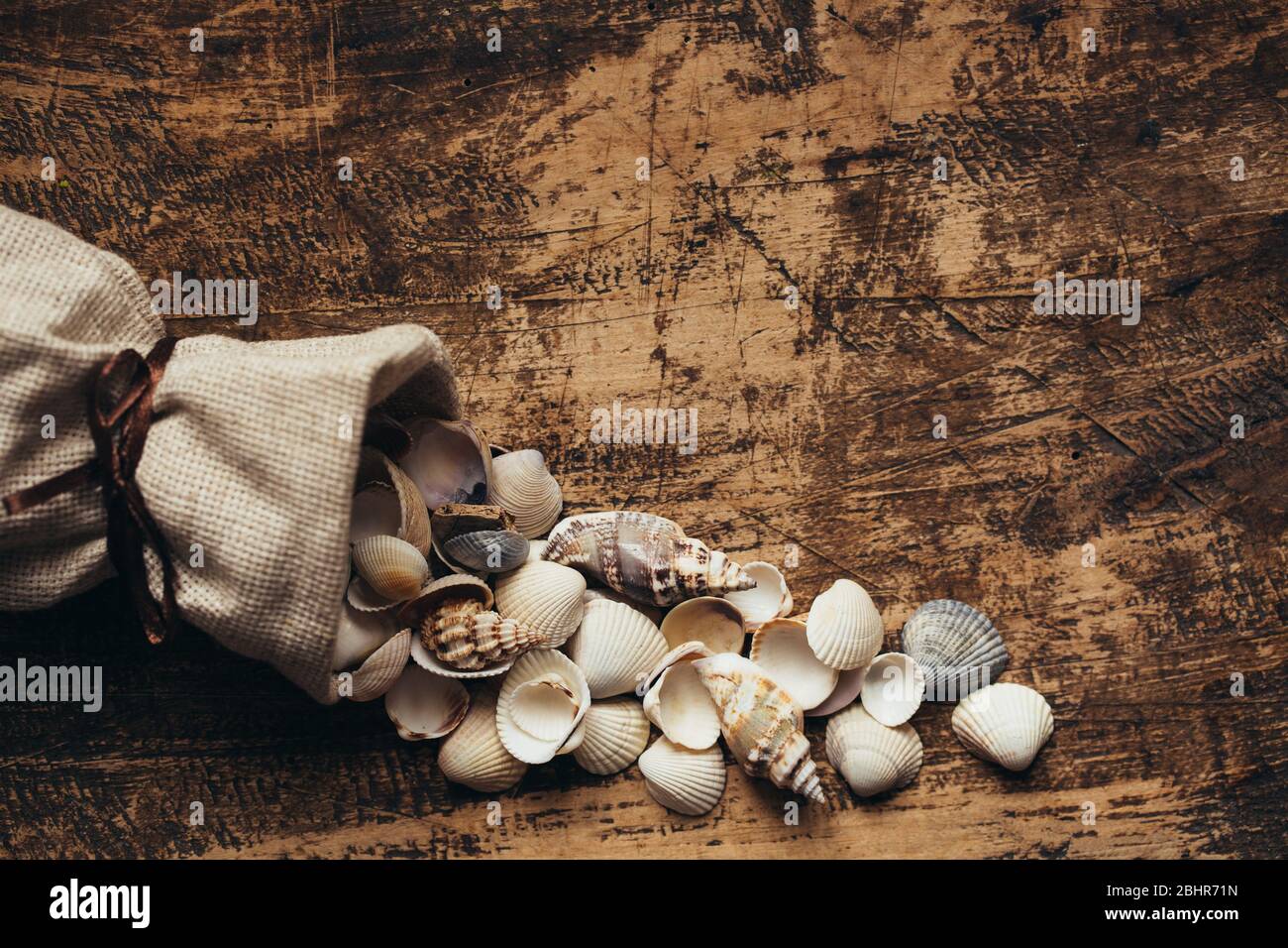 Macro photo. Sea shells are poured out of the bag. Rustic wooden ...