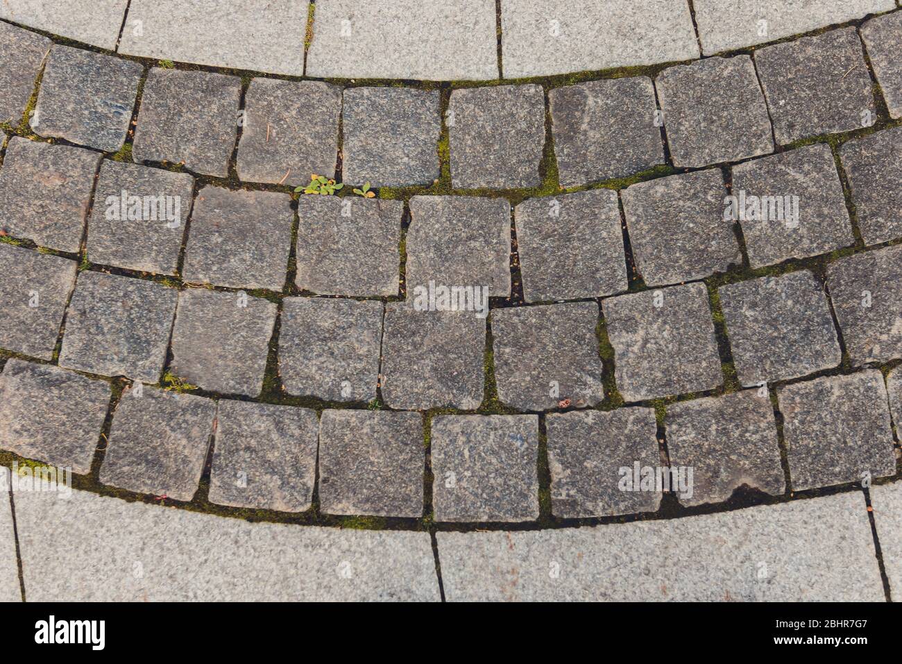 City Sidewalk Texture