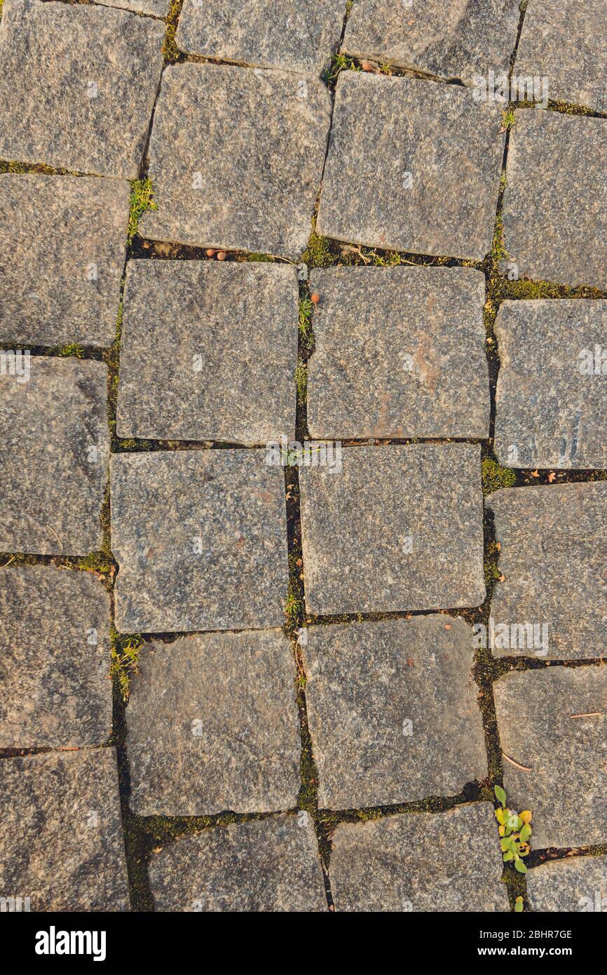 Concrete tile texture. City pavement background. Abstract stone brick ...