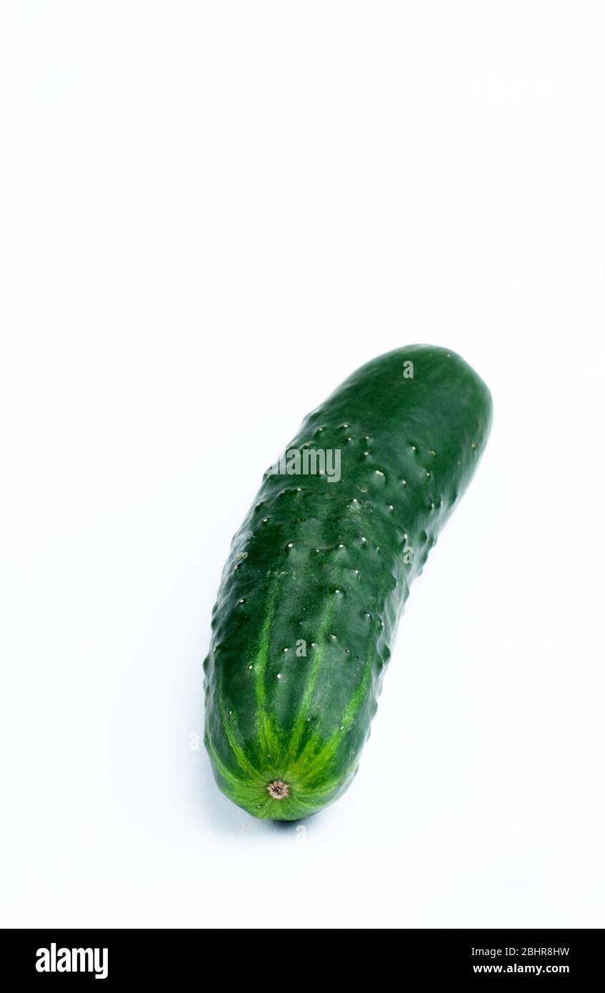 an open air cultivated organic green cucumber isolated on white ...