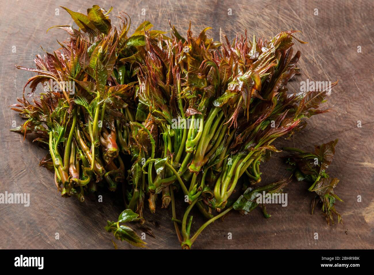 Toon leaf hi-res stock photography and images - Alamy