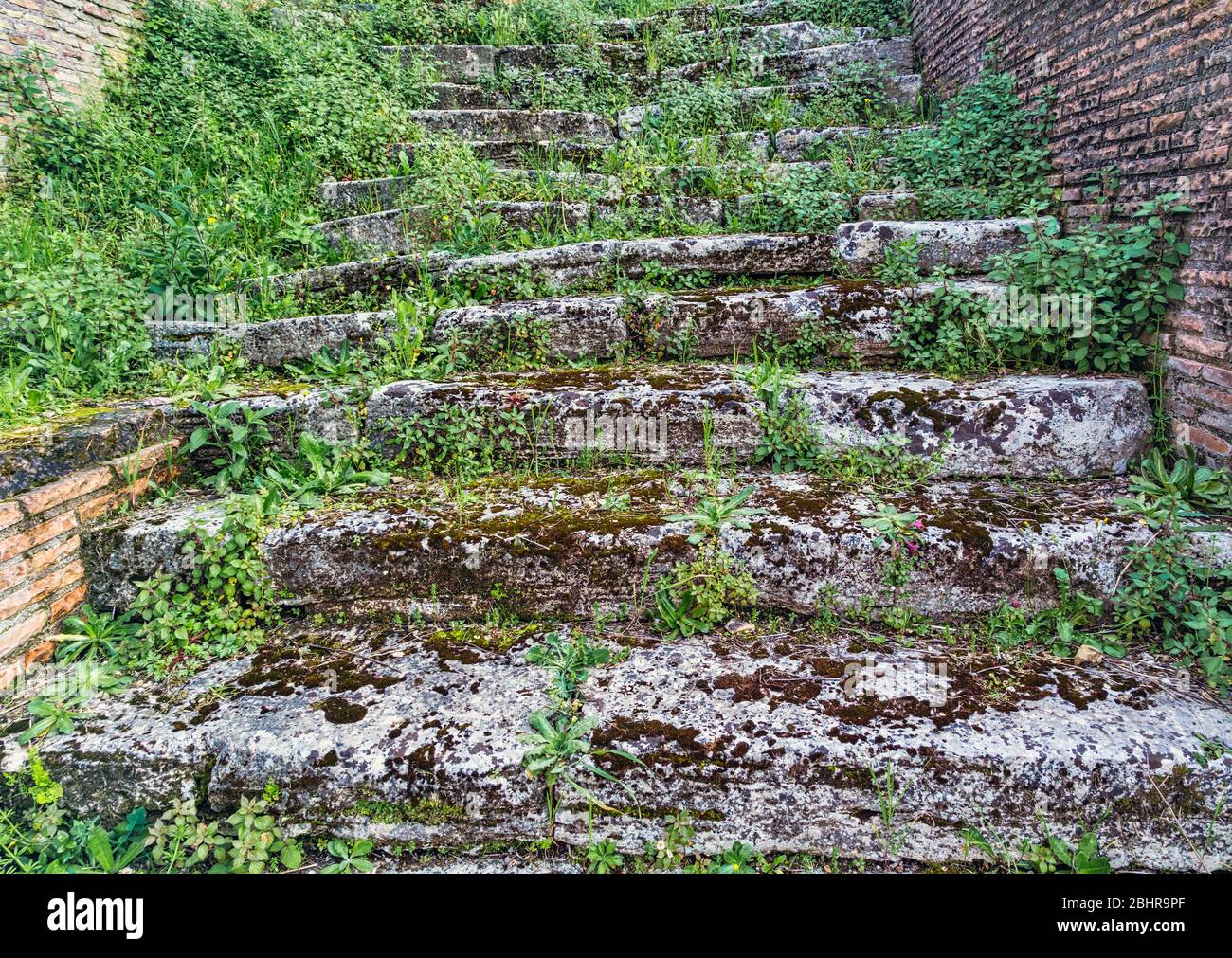 Rome, Italy. Ancient steps in the Roman Forum Stock Photo - Alamy