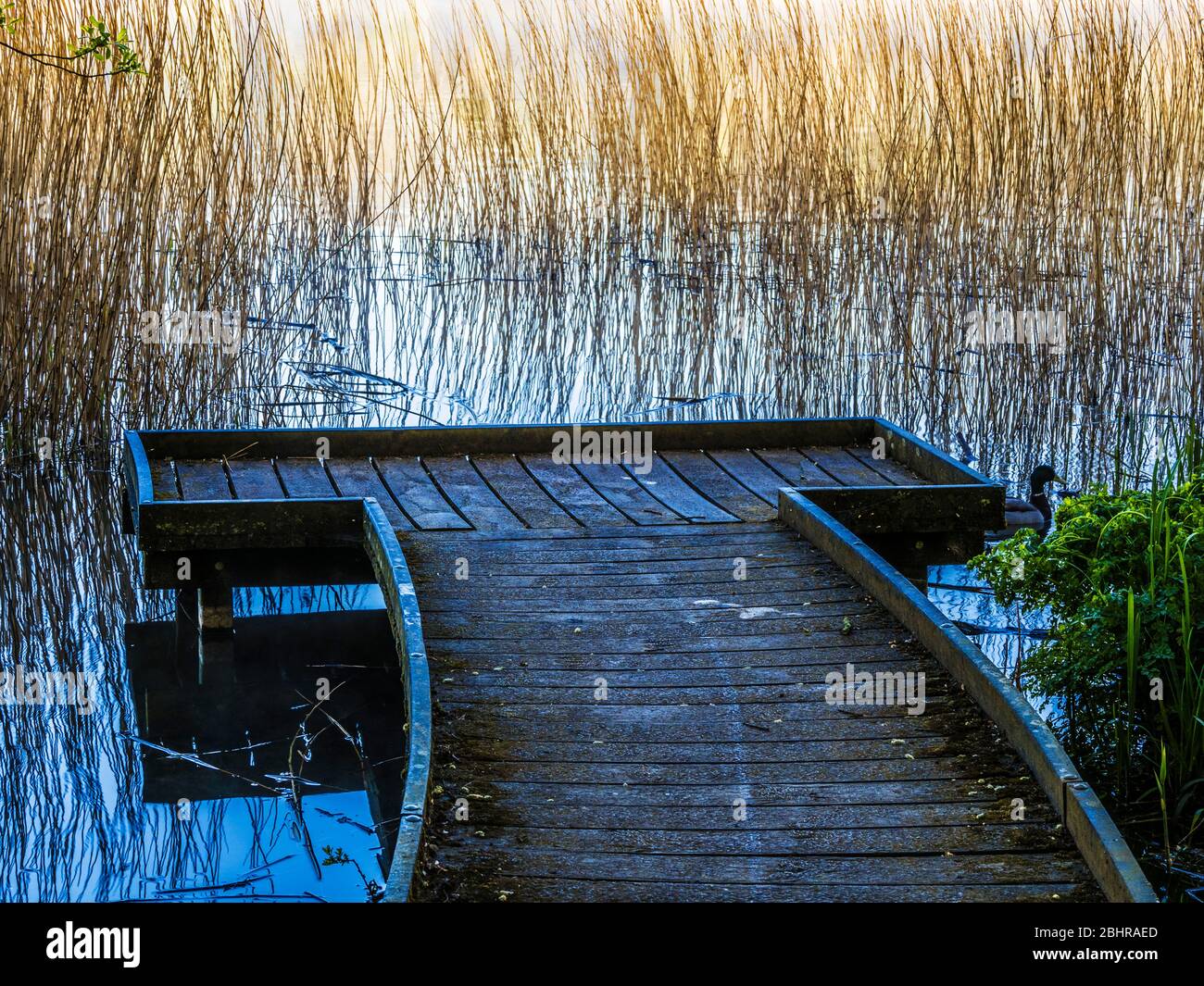 Pontoon mist hi-res stock photography and images - Alamy