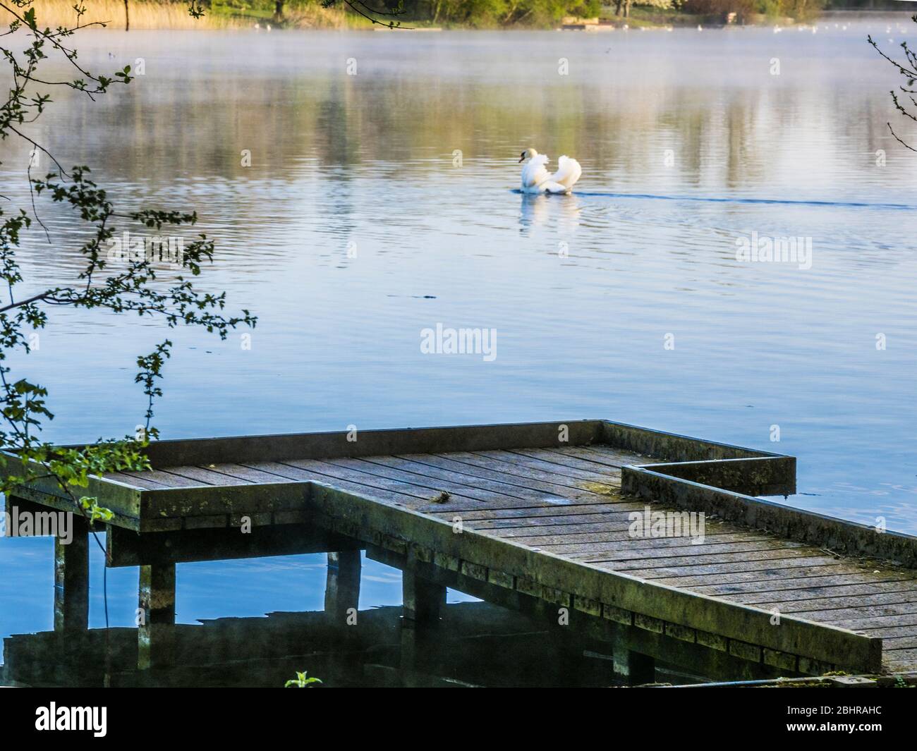 Pontoon swan hi-res stock photography and images - Alamy