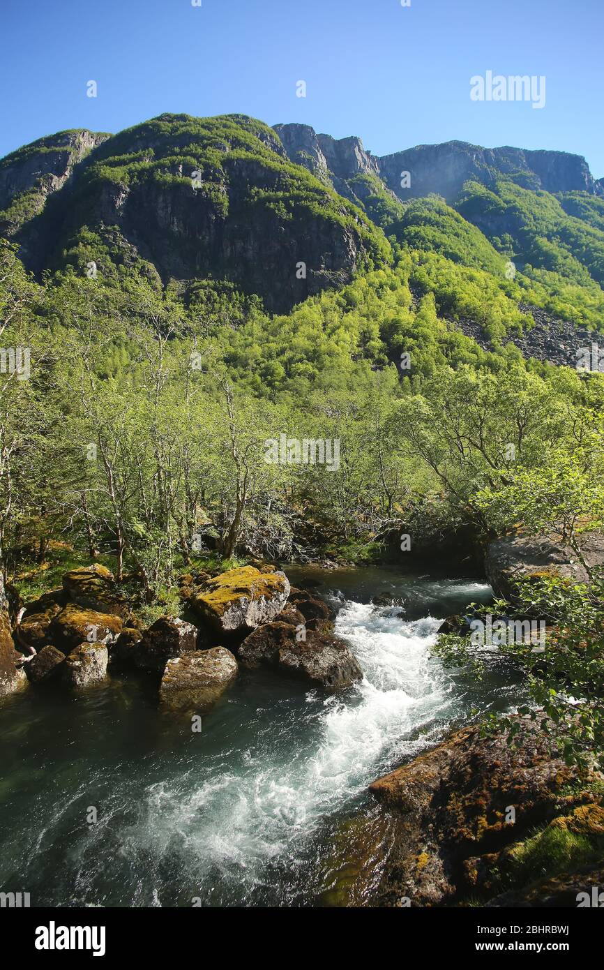 Beautiful park lake lush hi-res stock photography and images - Alamy