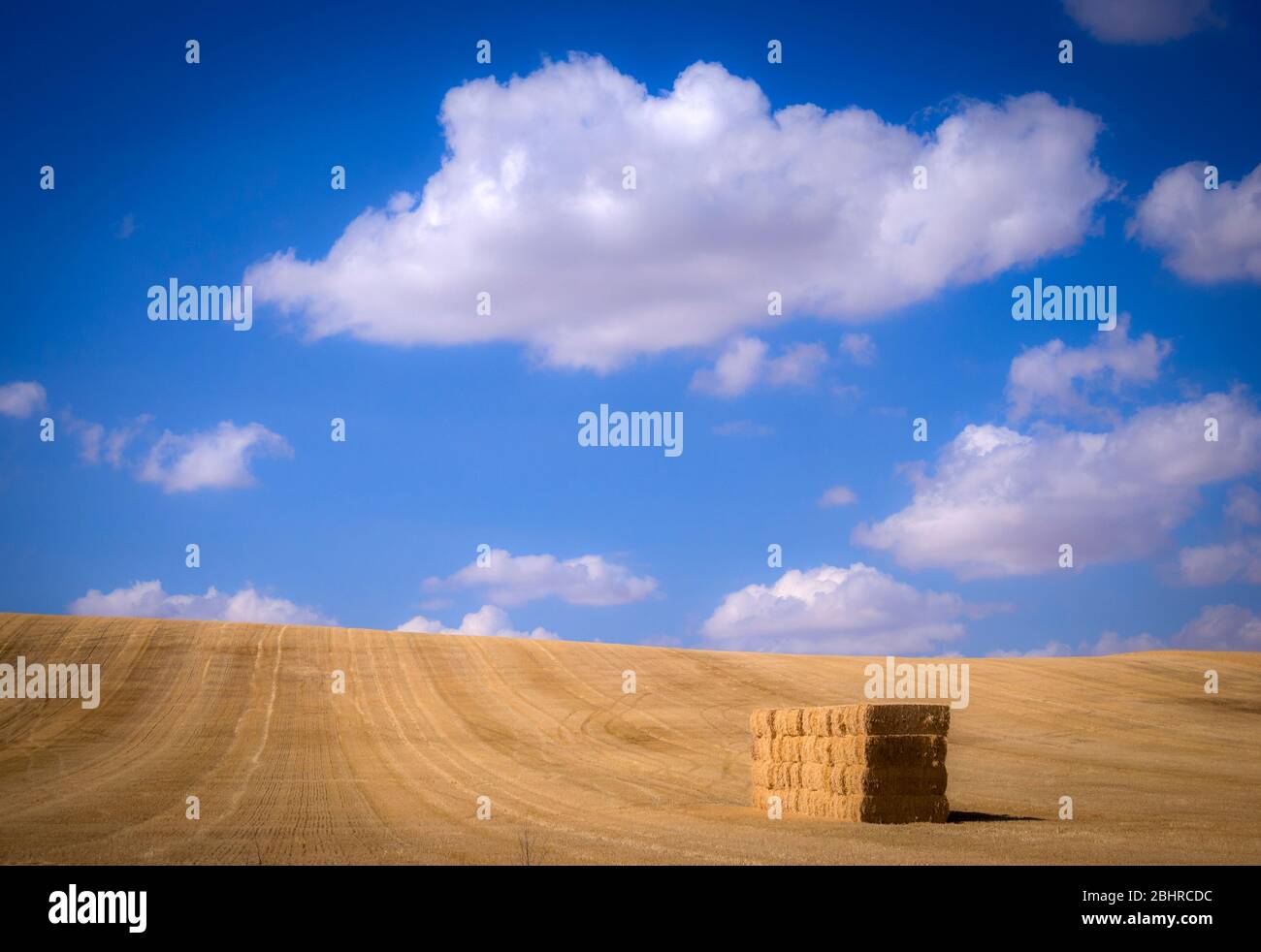 Campo de Valladolid. Castilla León. España Stock Photo - Alamy