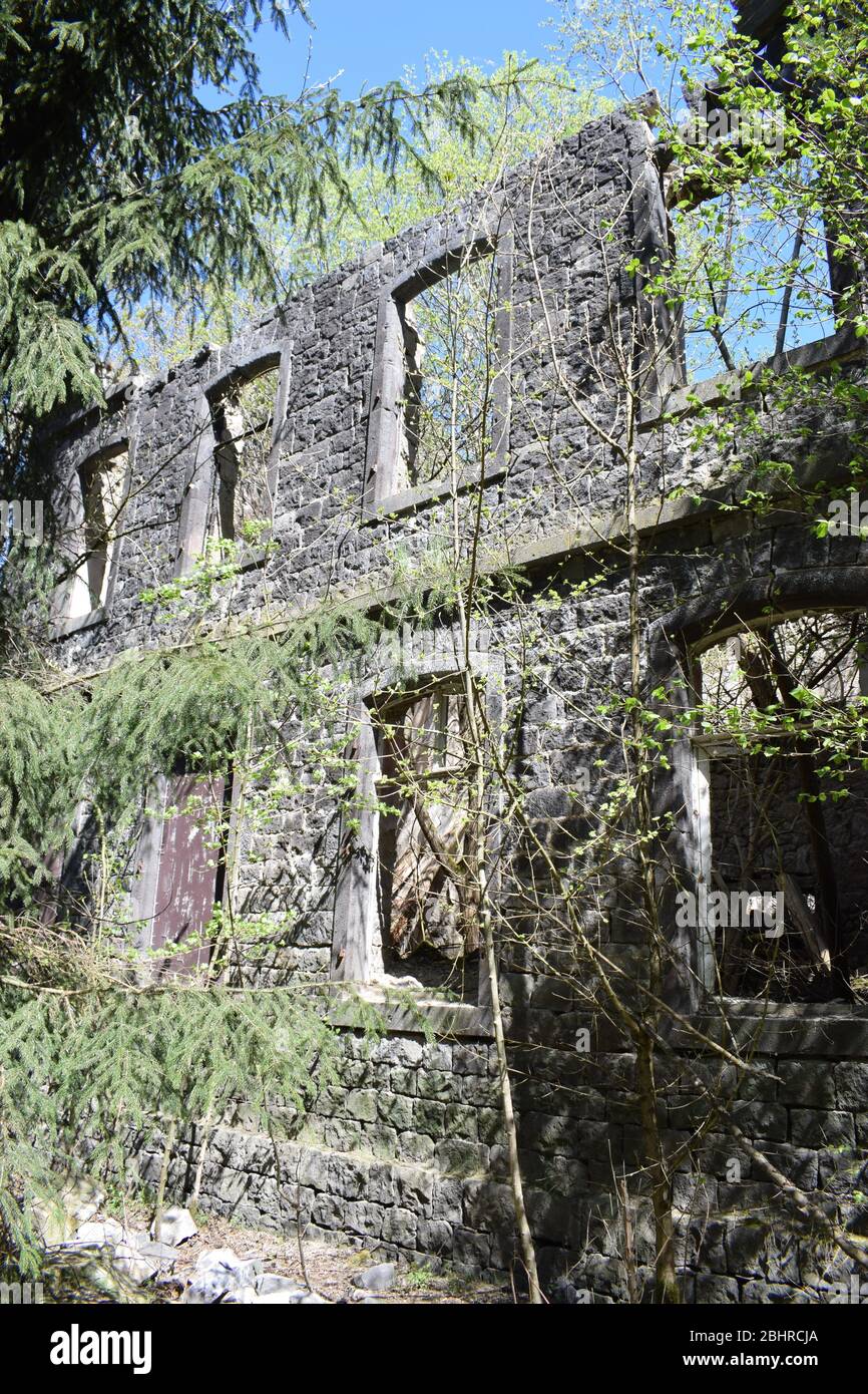 nature reclaiming the ruin of an abandoned old mill Stock Photo - Alamy