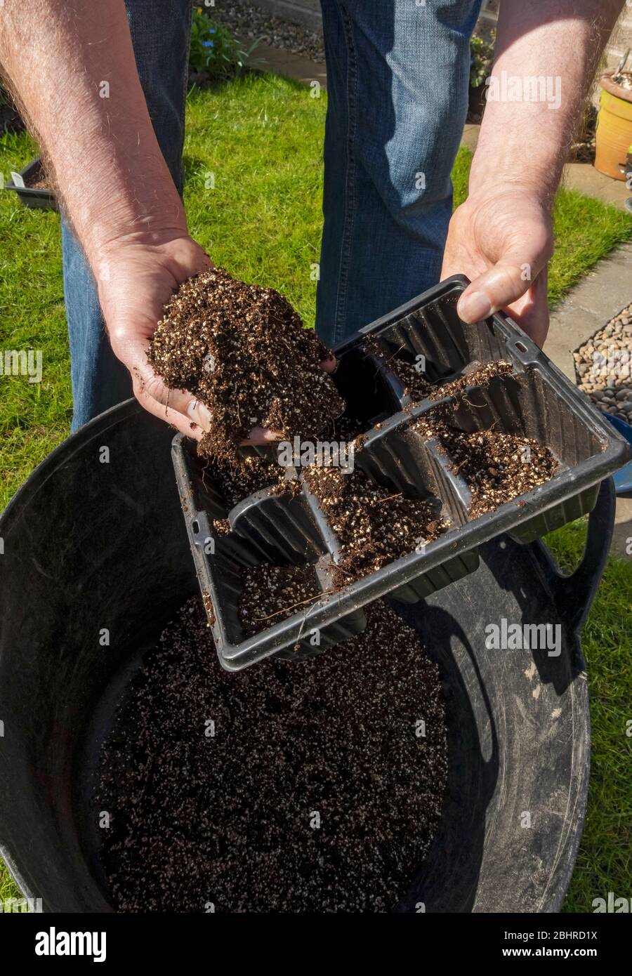 Potting tray hi-res stock photography and images - Alamy