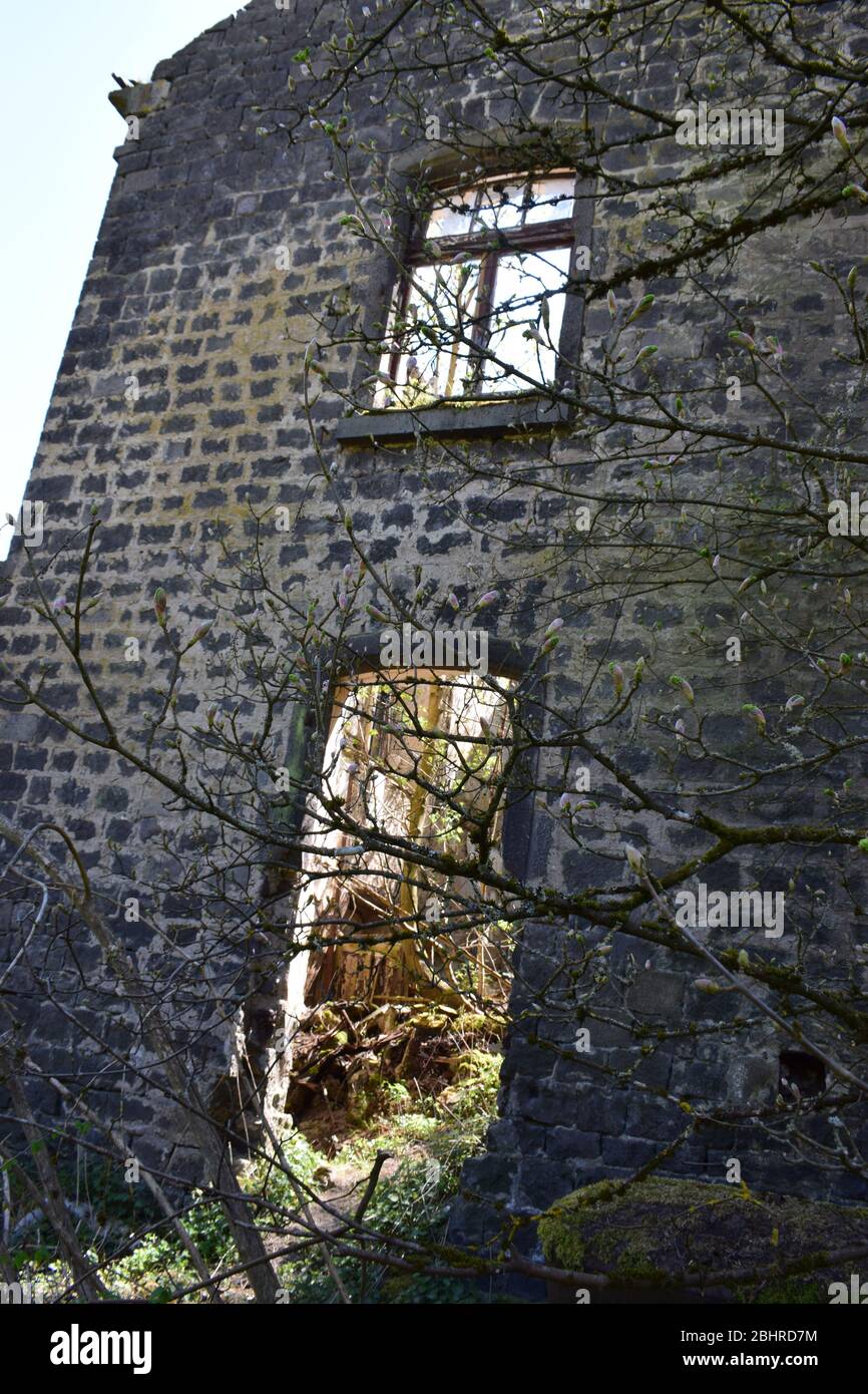 nature reclaiming the ruin of an abandoned old mill Stock Photo - Alamy