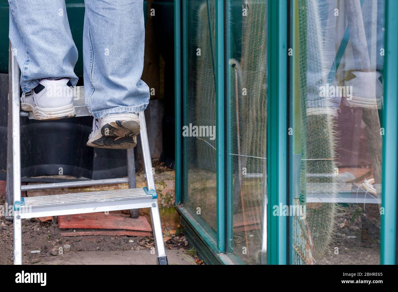 Close up legs and shoes step on the ladder at garden Stock Photo - Alamy