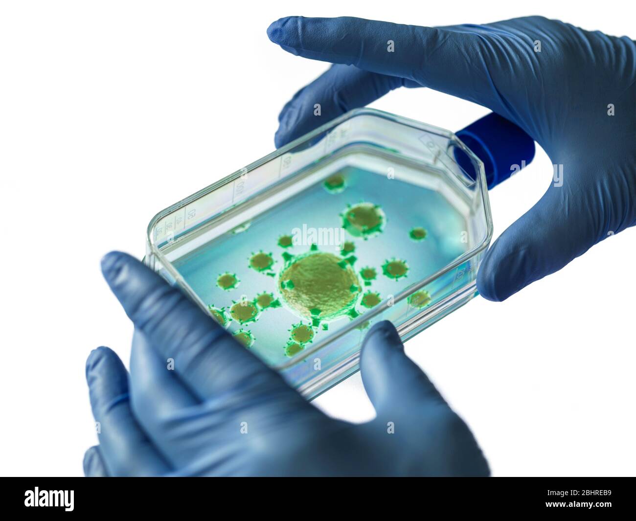 Pharmaceutical research into diseases and pandemics. Macro view of a 3D ...