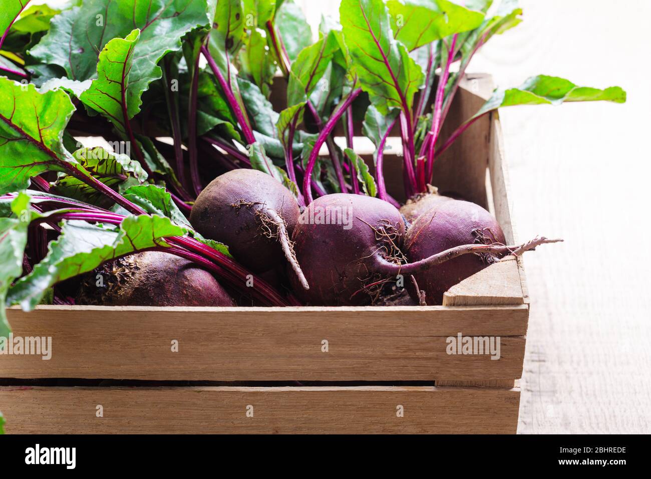 Whole fresh beetroot in wooden crate, organic local vegetables, plant ...