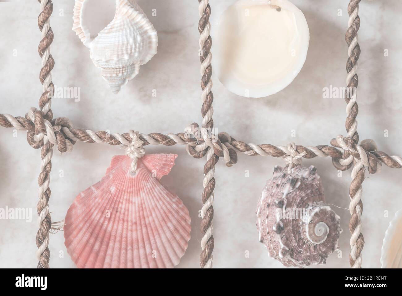 Collection of shells room hi-res stock photography and images - Alamy