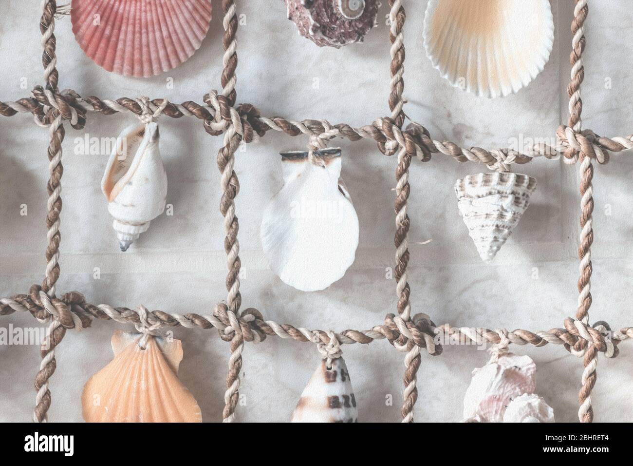 A nature assorted colourful shells on the wall Stock Photo - Alamy