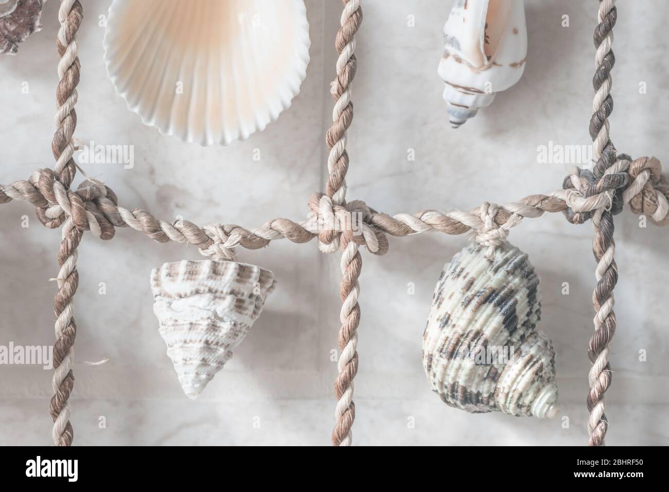 A nature assorted colourful shells on the wall Stock Photo - Alamy