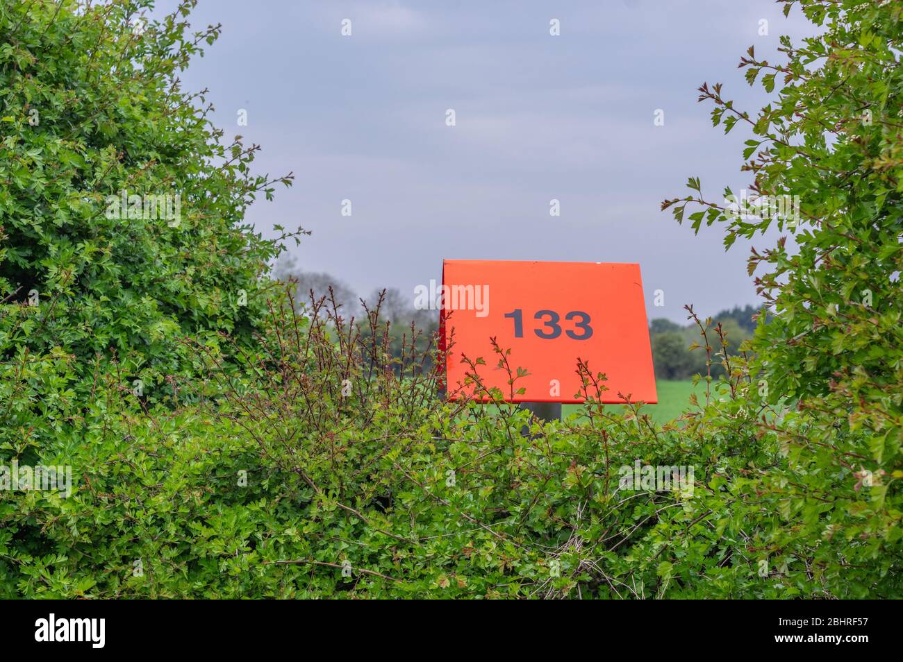 Pocklington, East Yorkshire, UK, 04/26/2020 - a bright orange marker ...