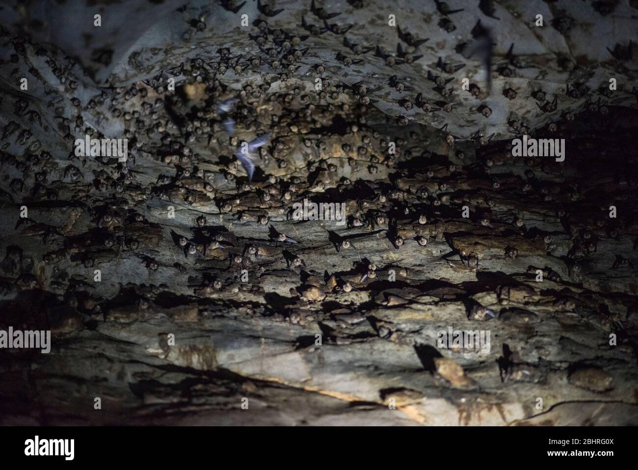 Batcave hi-res stock photography and images - Alamy