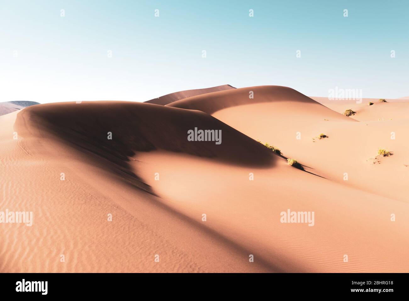 Namibia: Pictures of the Namibian beauties - Sand dunes shapes in the ...