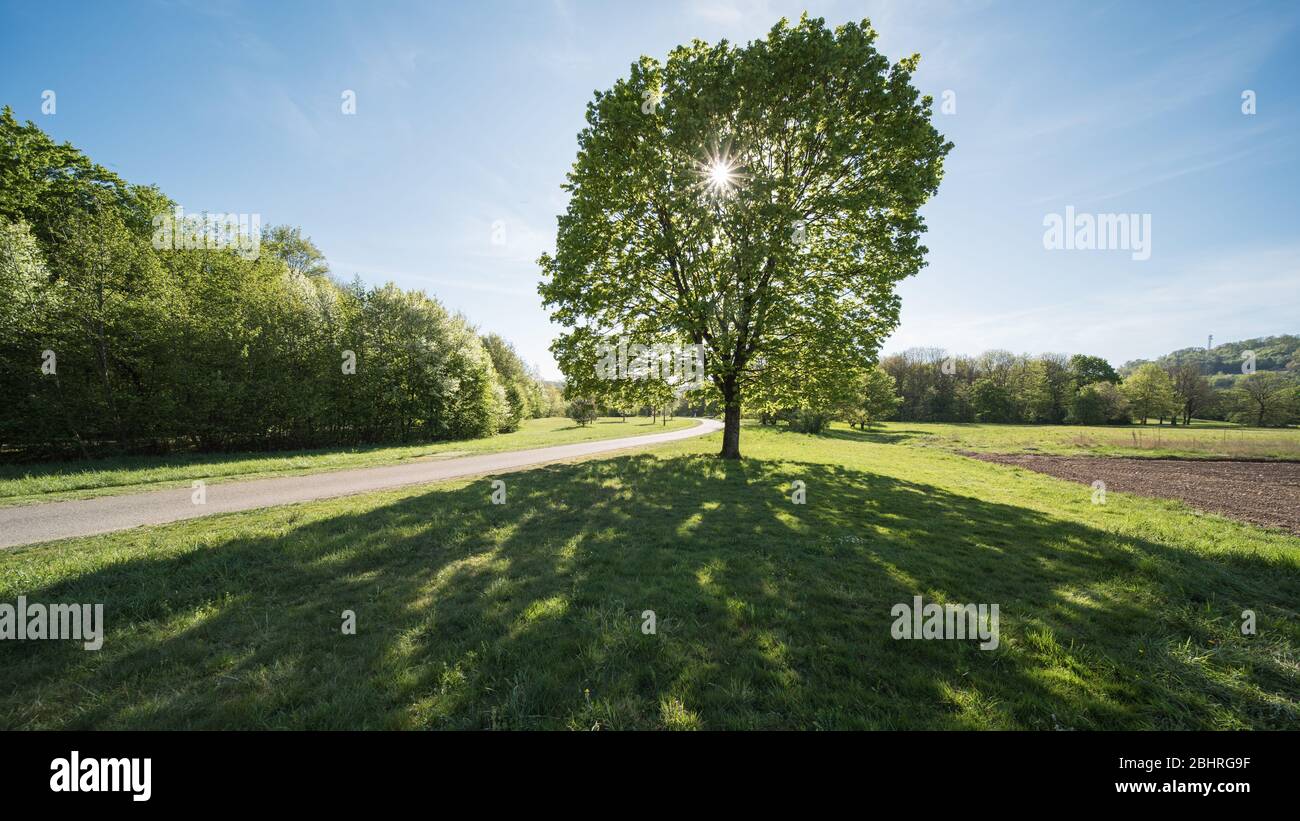 Magic sunlight hi-res stock photography and images - Alamy