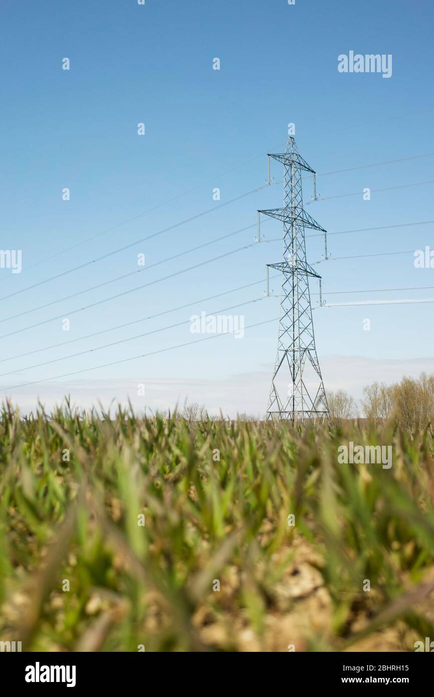 Ground level image hi-res stock photography and images - Alamy