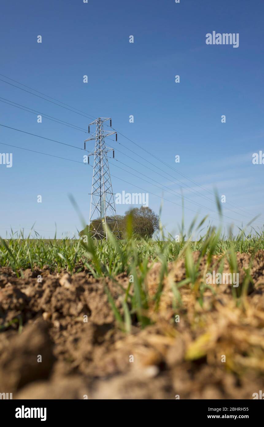 Electricity pylon and grass hi-res stock photography and images - Alamy