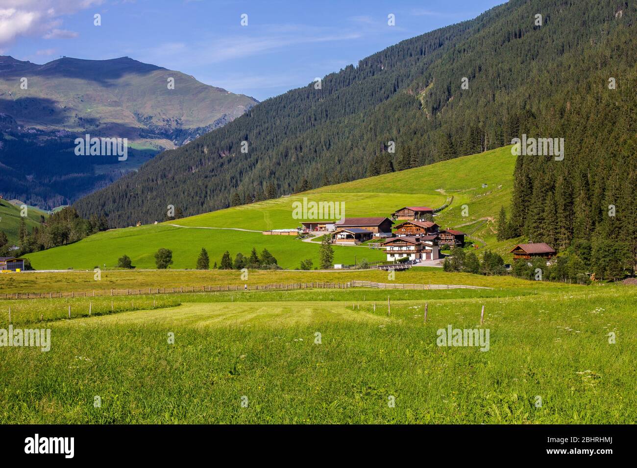 Green Tyrolean Landscape with Chalets in Summer, Tux Valley, Austria ...