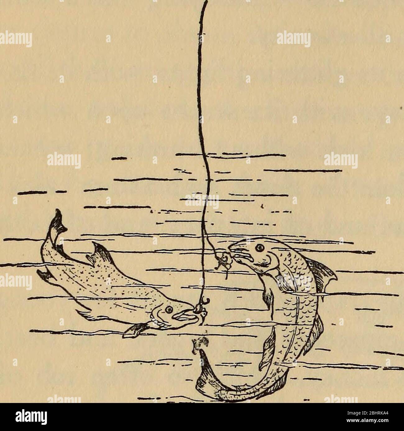 "With the children on Sundays, through eye-gate, and ear-gate into the ...