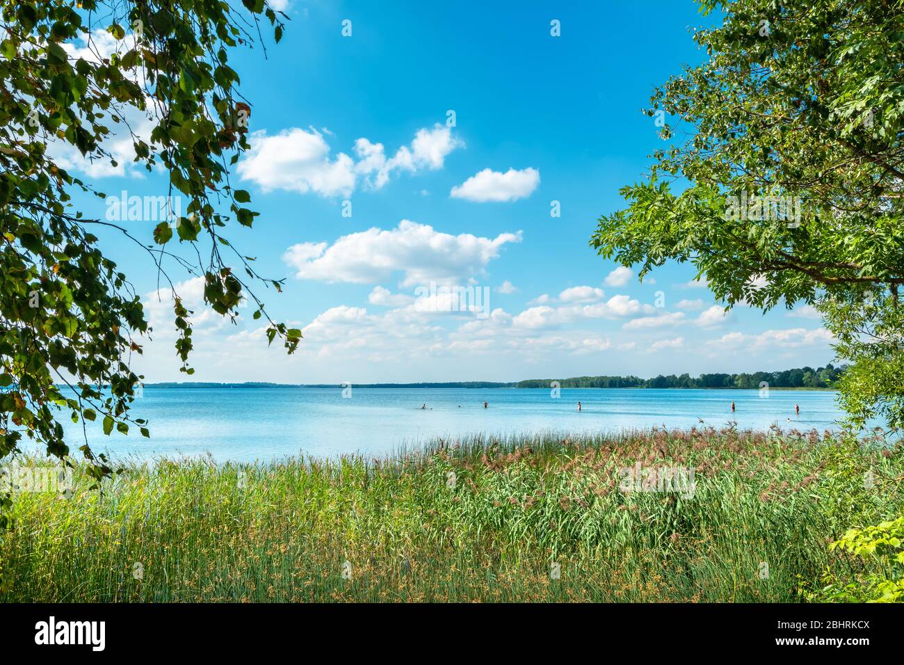 Sunny shoreline people swimming in hi-res stock photography and images ...