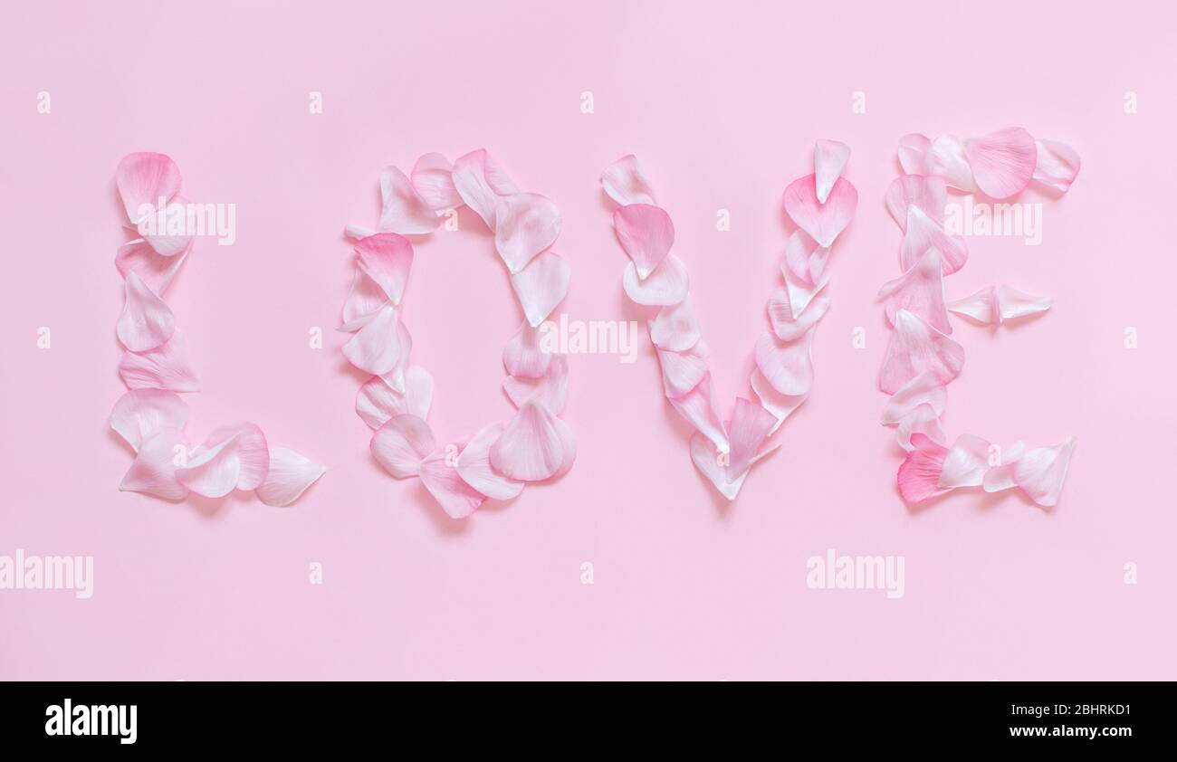 Text LOVE made of pink petals on a light pink background top view Stock ...