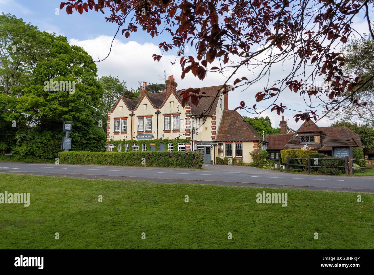 Ewhurst bull's head hi-res stock photography and images - Alamy