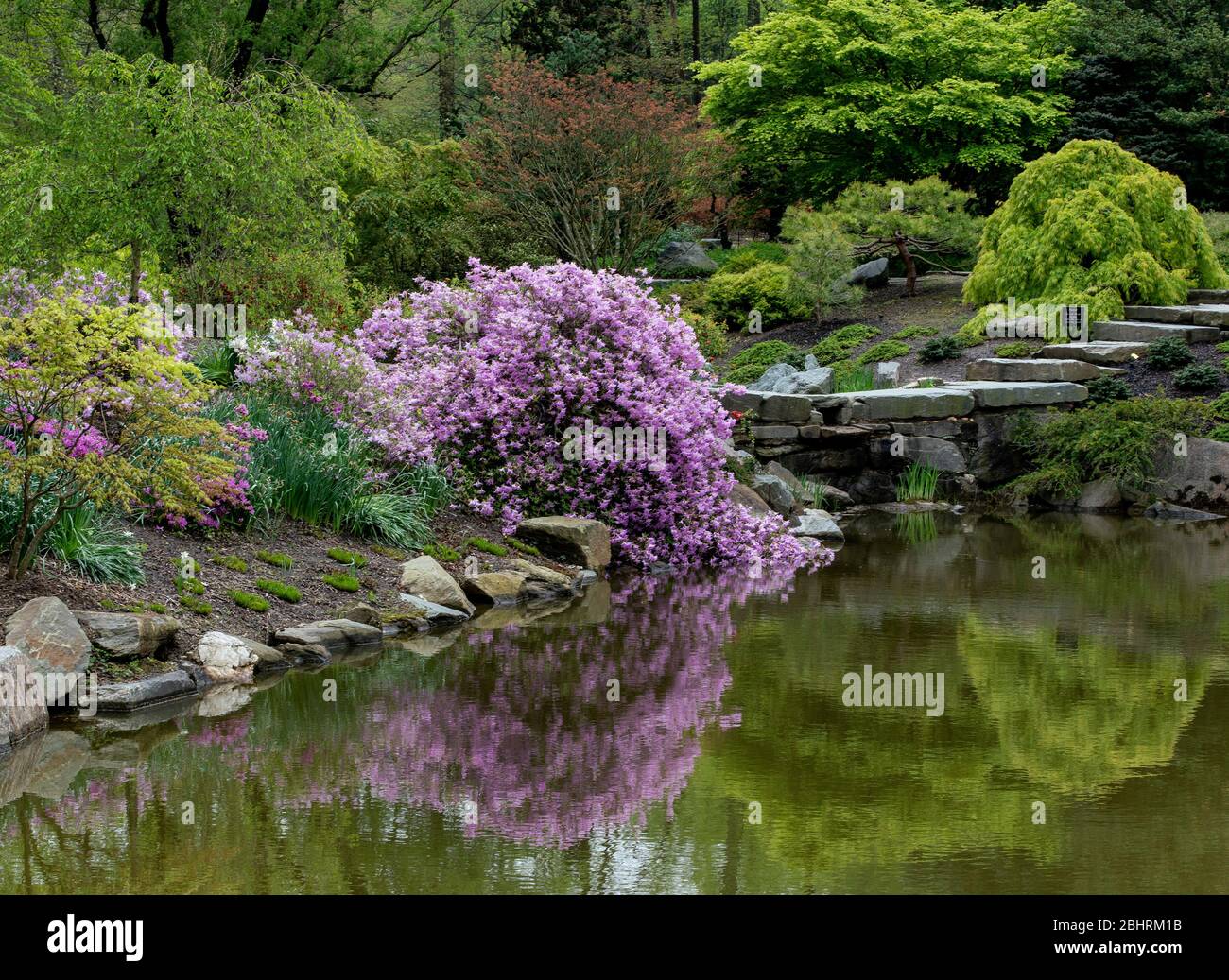 Lake in spring Stock Photo - Alamy