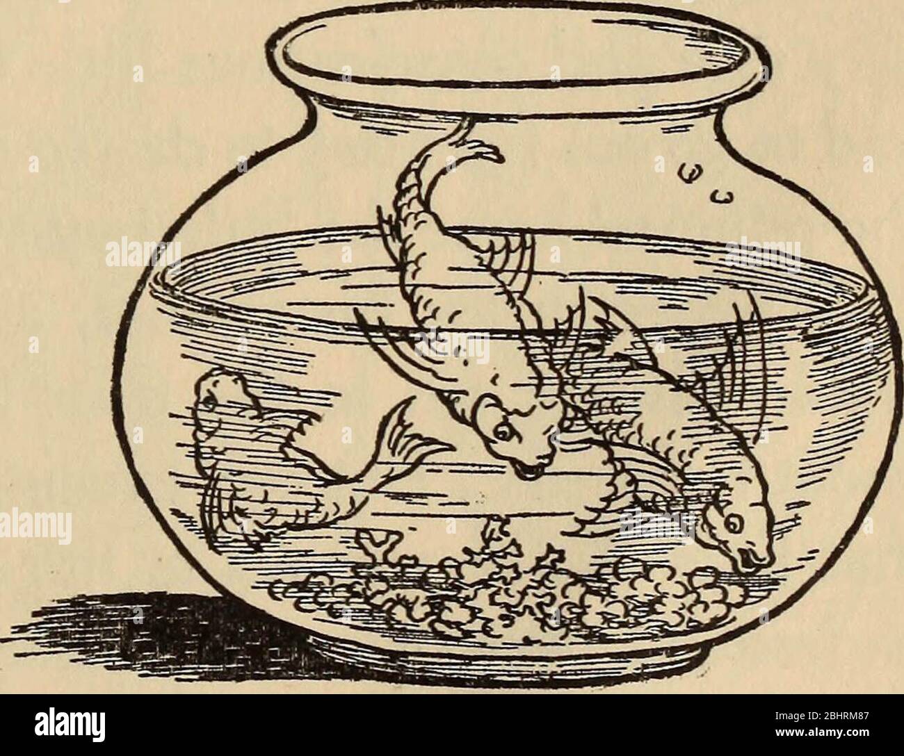 "With the children on Sundays, through eye-gate, and ear-gate into the ...