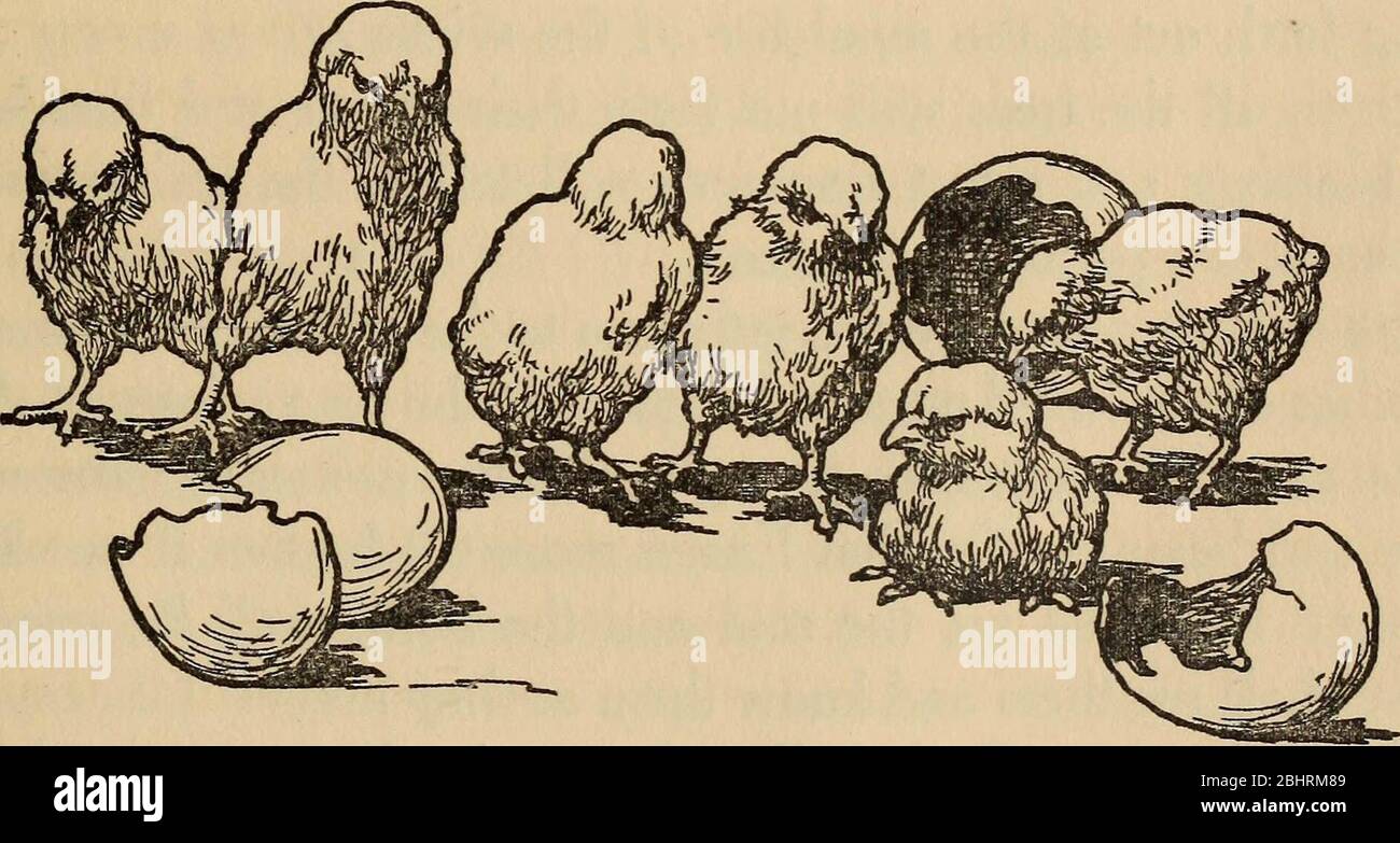 "With the children on Sundays, through eye-gate, and ear-gate into the ...