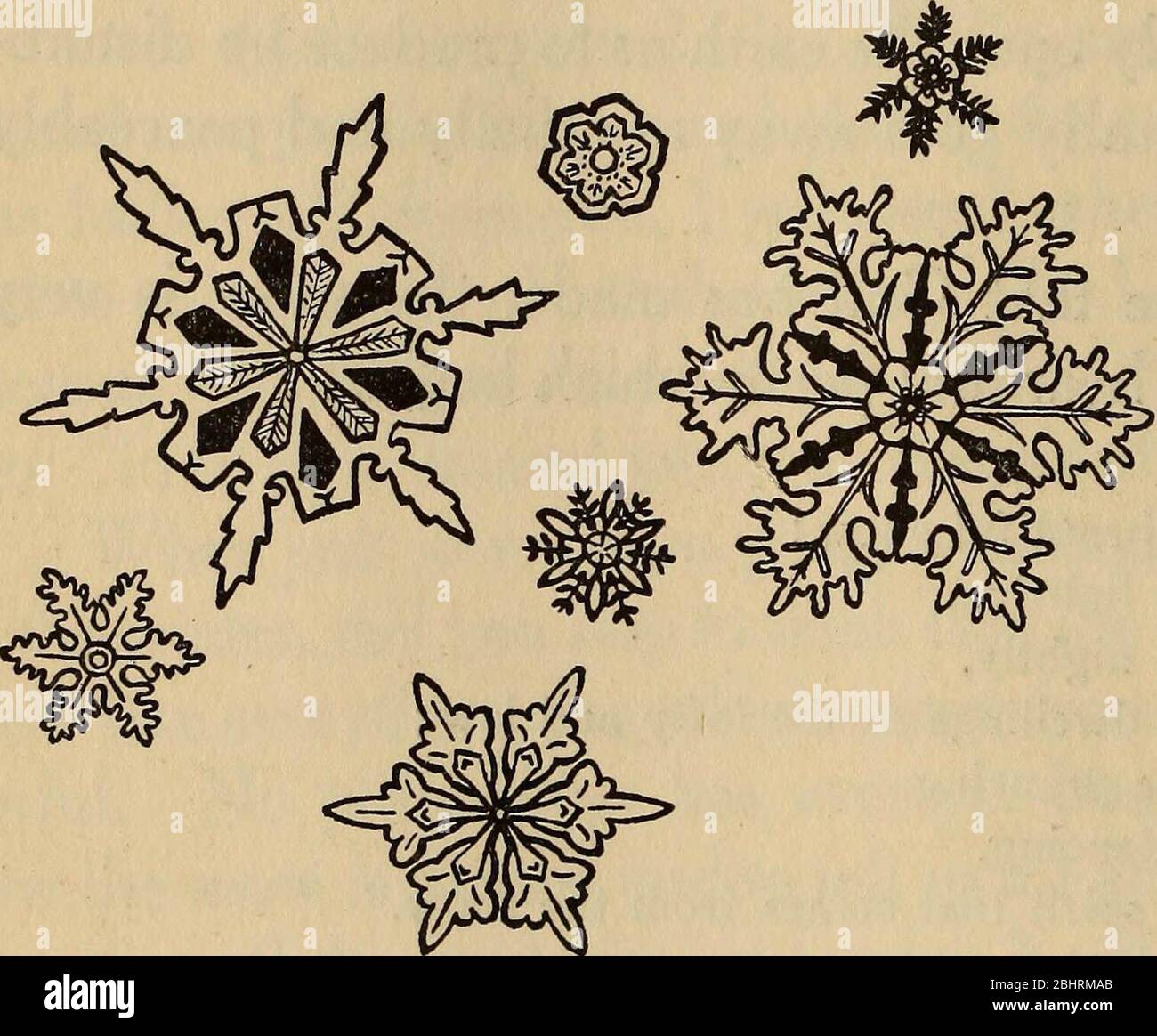 "With the children on Sundays, through eye-gate, and ear-gate into the ...