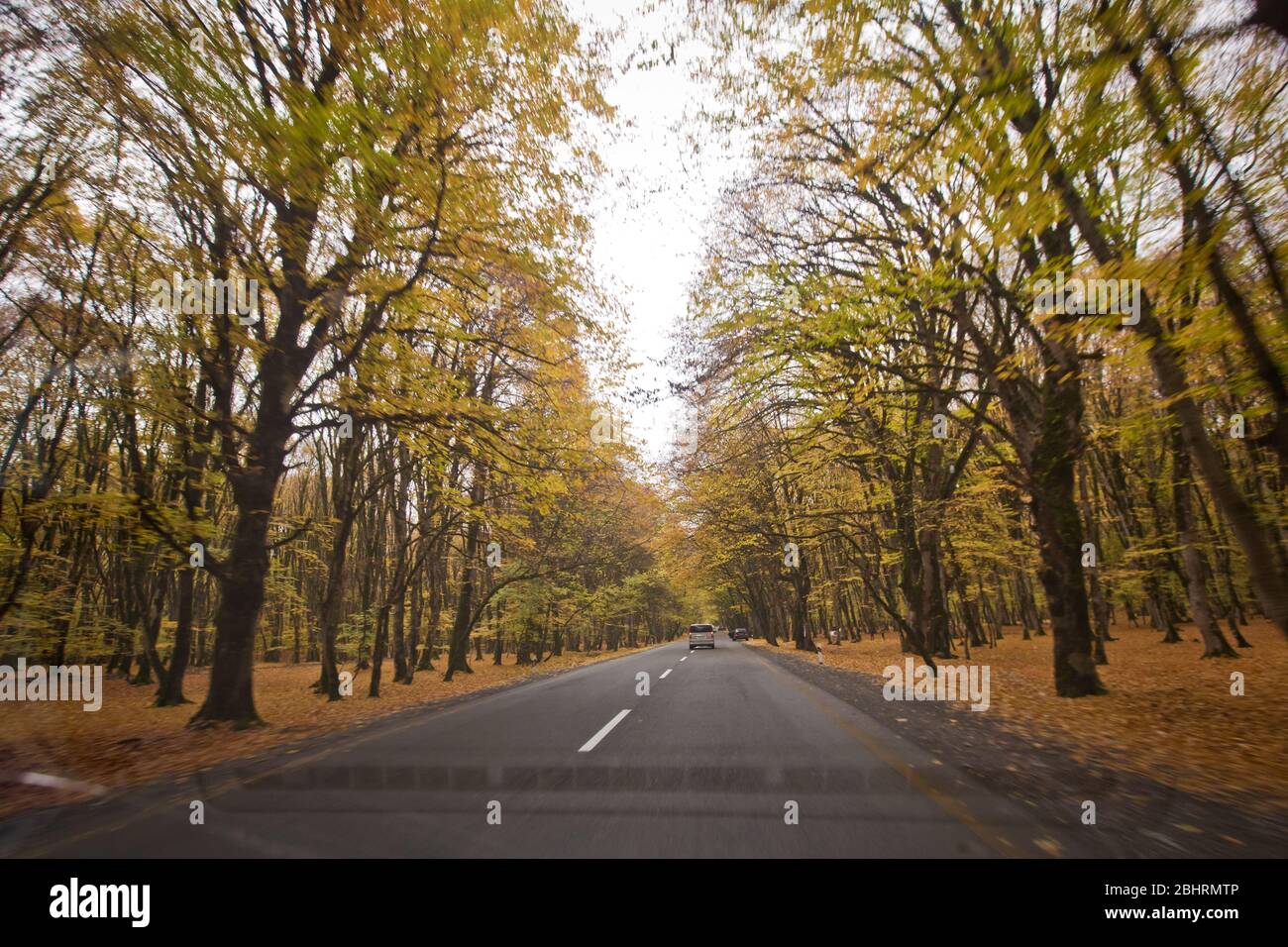 Autumn landscape with road and beautiful colored trees . Road in the ...
