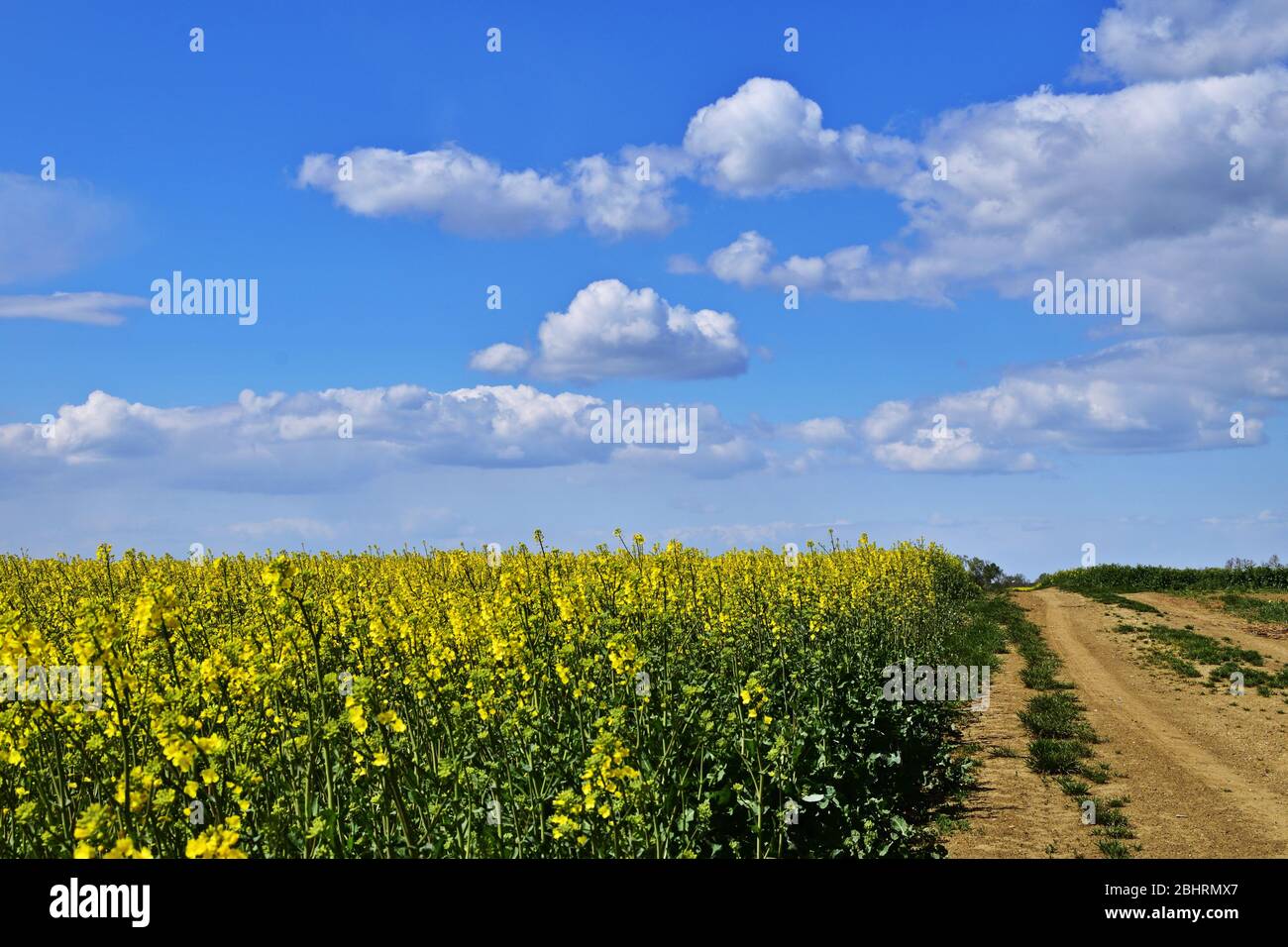 Outdoor spring april nature landscape scenery hi-res stock photography ...