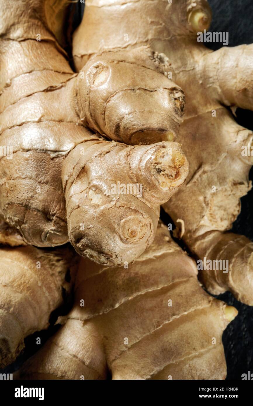 Good ginger hi-res stock photography and images - Alamy