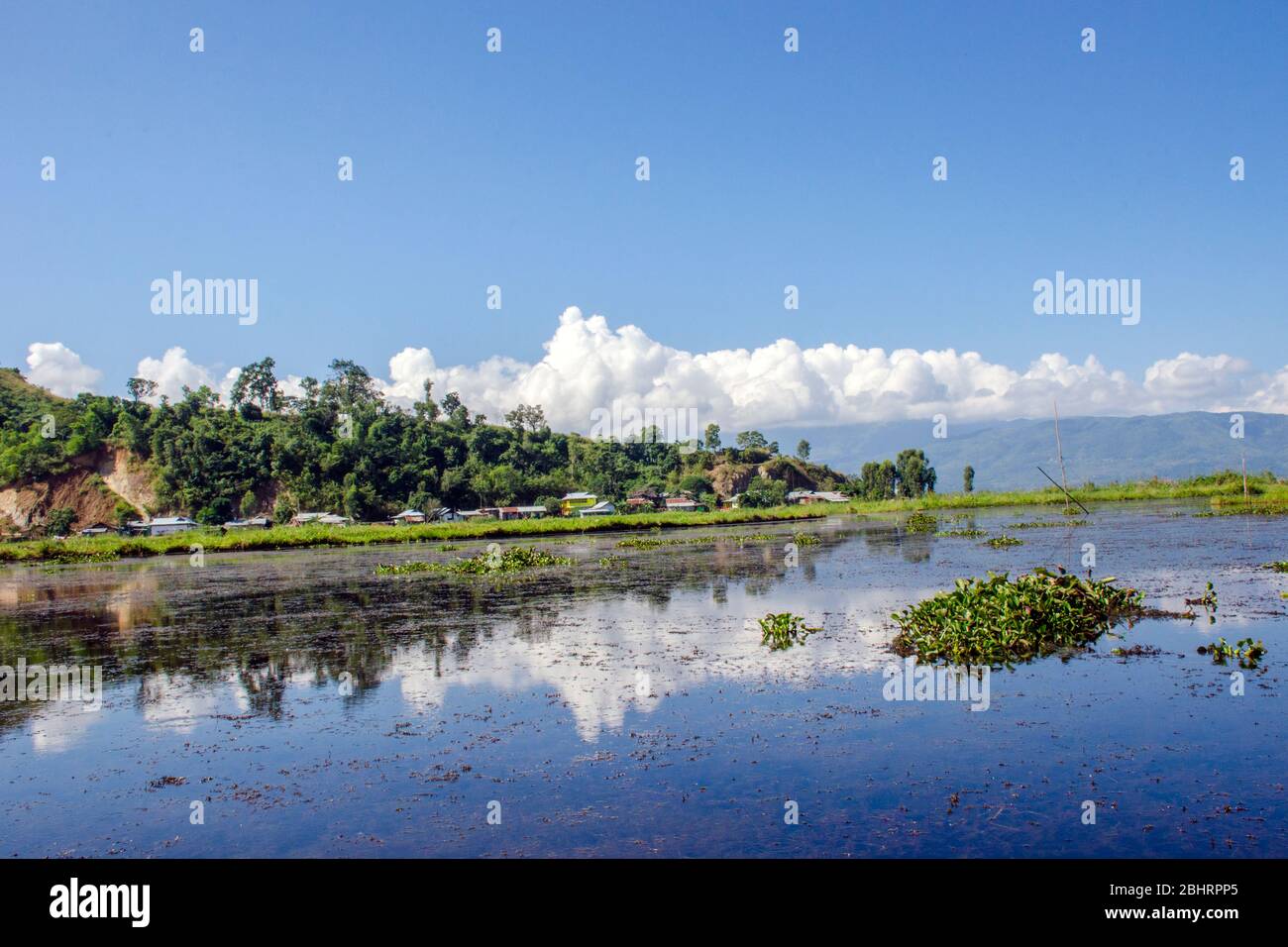 landscape and nature at loktak lake Stock Photo - Alamy