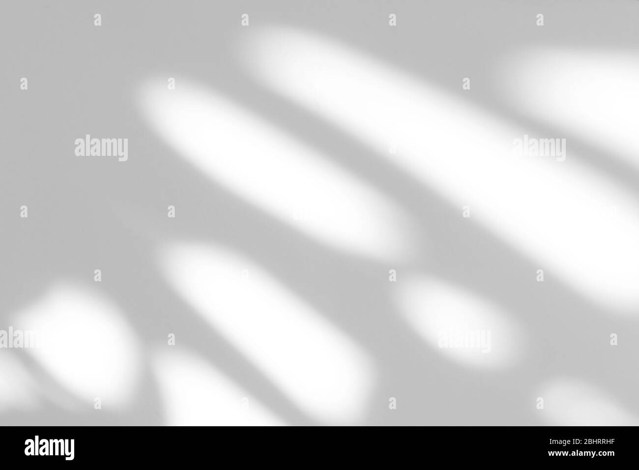 Organic drop shadow on a white wall Stock Photo - Alamy