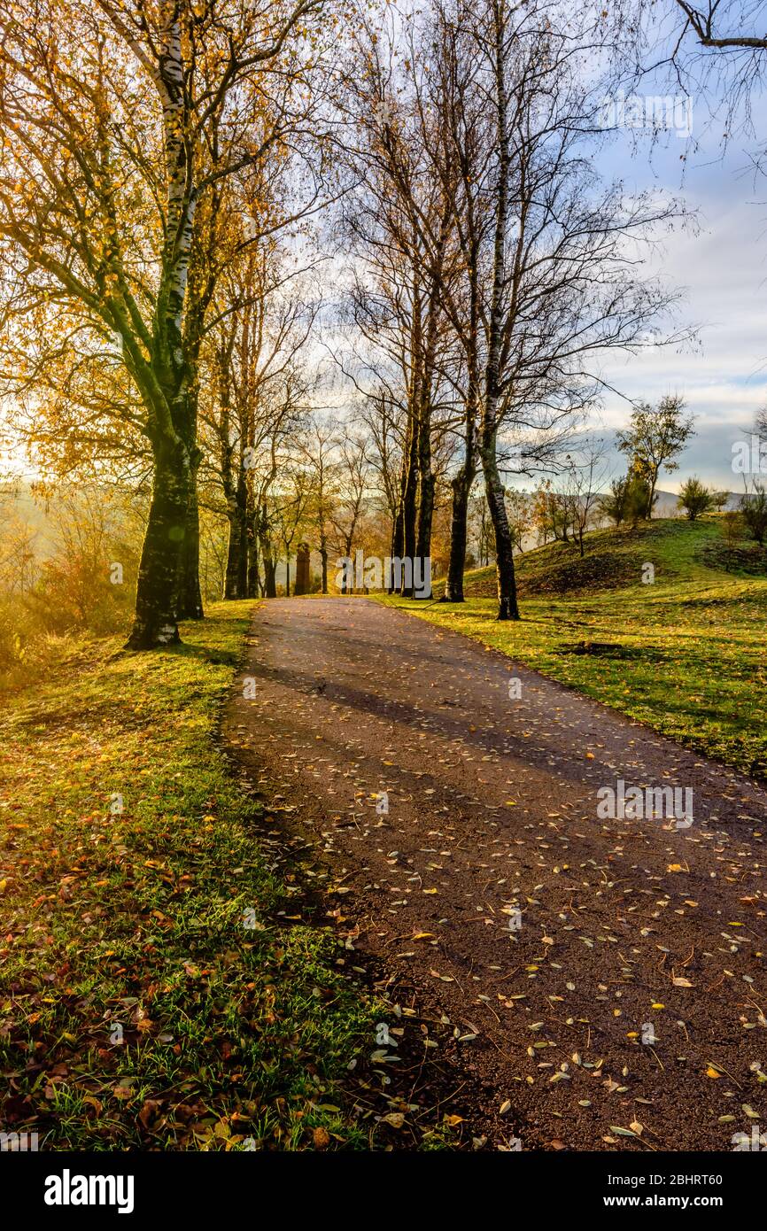 Beautiful pathway with sunlight hi-res stock photography and images - Alamy
